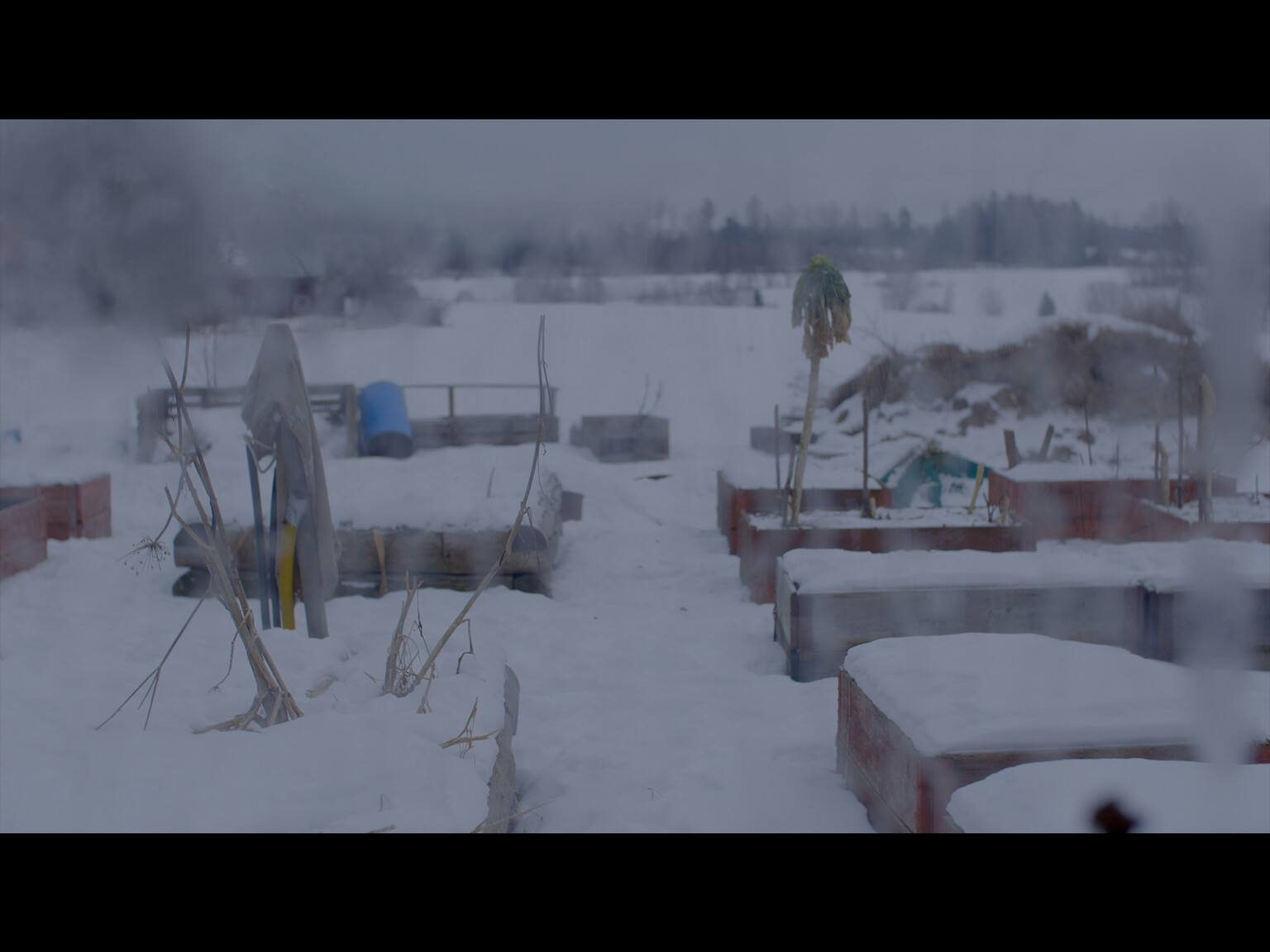 Unni Gjertsen ‹ GIBCA • Göteborg International Biennial for ...